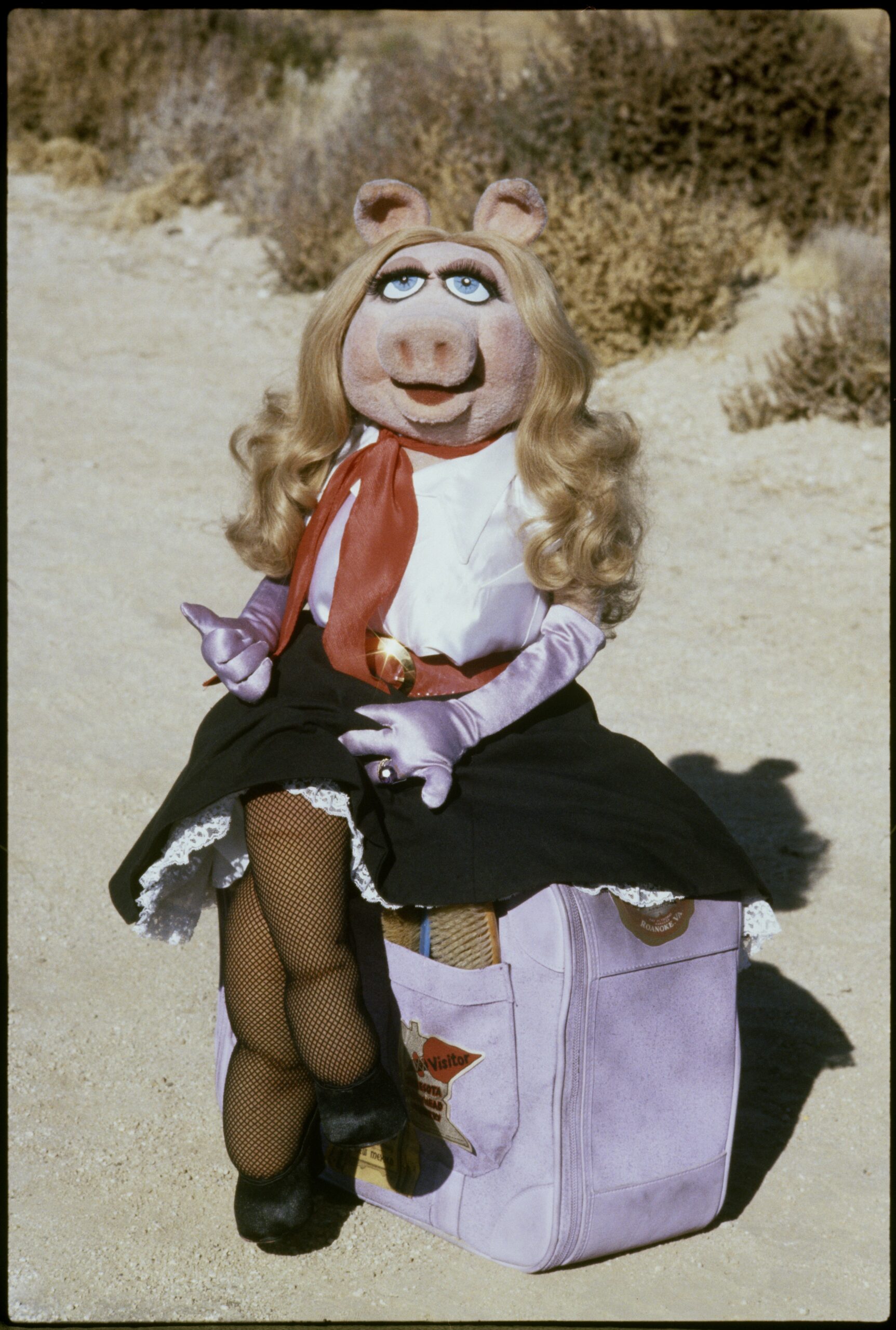 10 Questions with Miss Piggy about The Muppet Movie - Fathom Entertainment