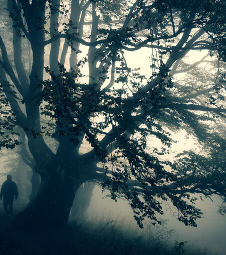 Horror Genre - Prepare for Heart-Pounding Thrills & Chills